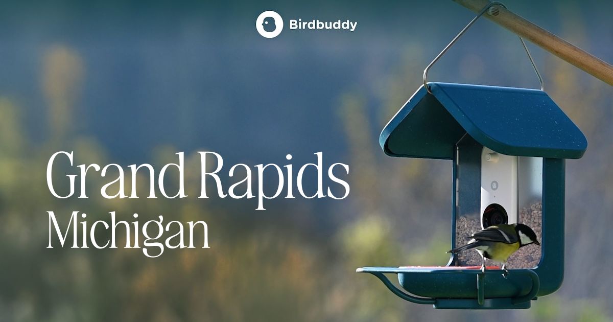 Birds in Grand Rapids, Michigan - Birdbuddy WIKI