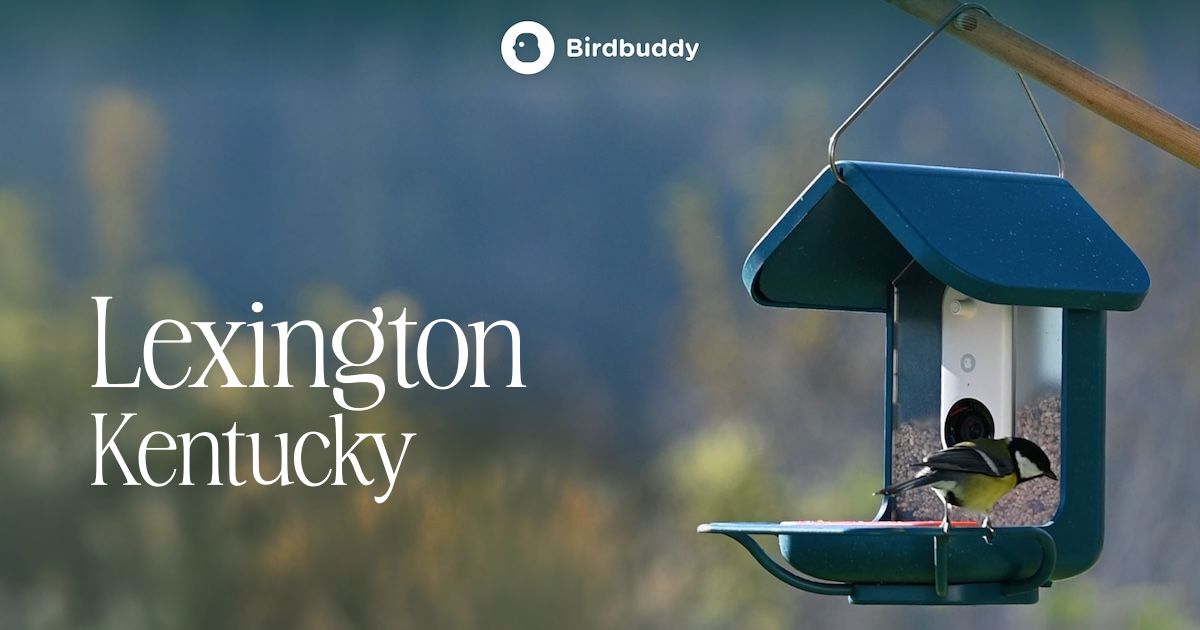 Birds in Lexington, Kentucky - Birdbuddy WIKI