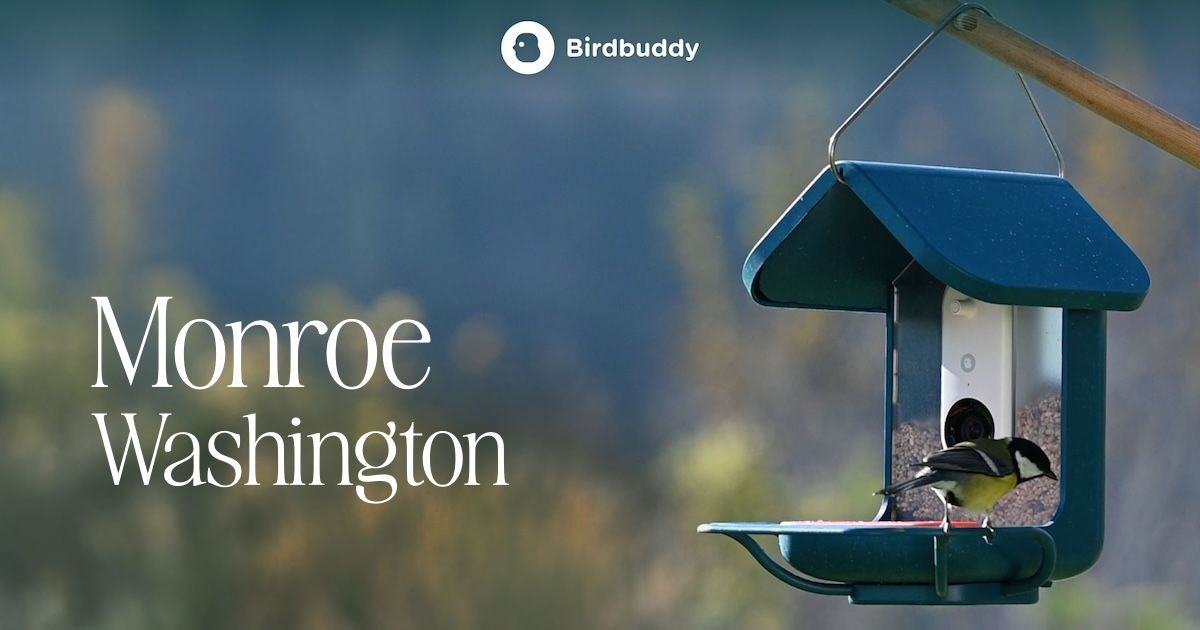 Birds in Monroe, Washington - Bird Buddy WIKI