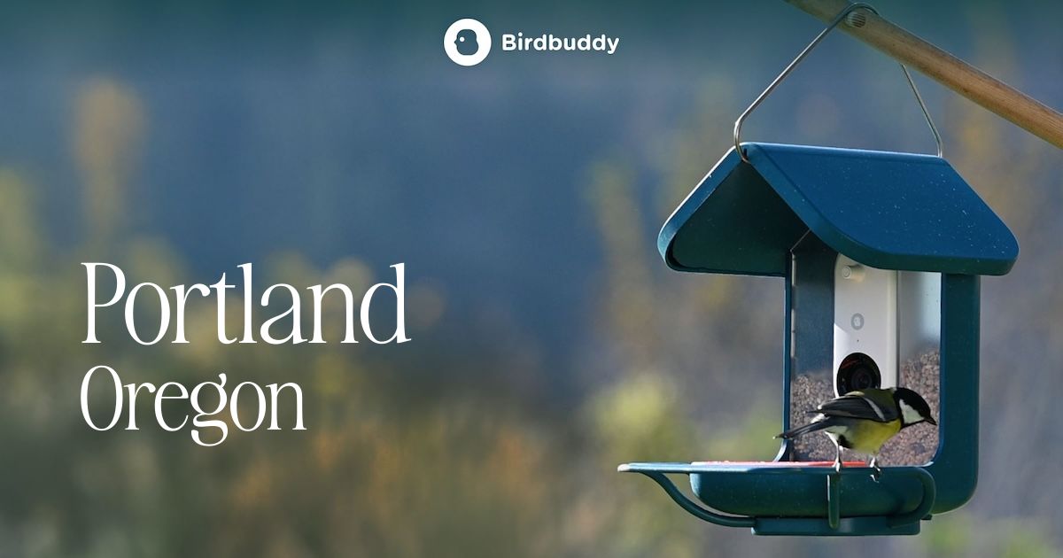 Birds in Portland, Oregon - Birdbuddy WIKI