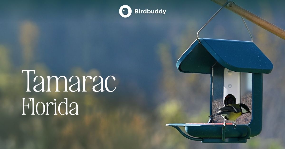 Birds in Tamarac, Florida - Birdbuddy WIKI