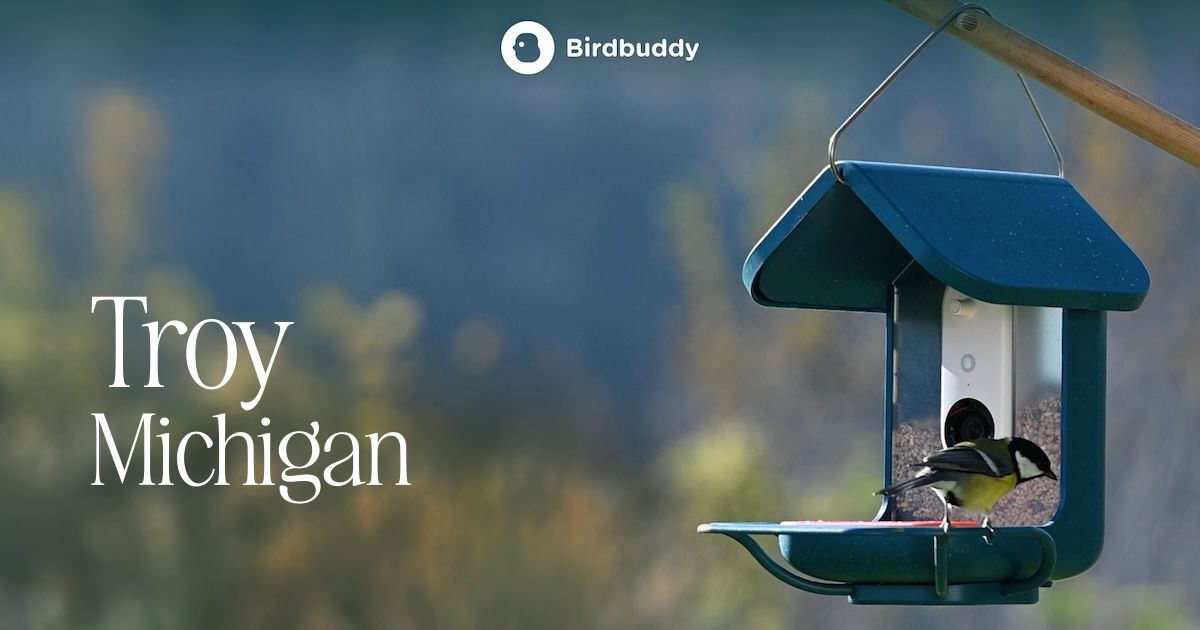 Birds in Troy, Michigan - Birdbuddy WIKI
